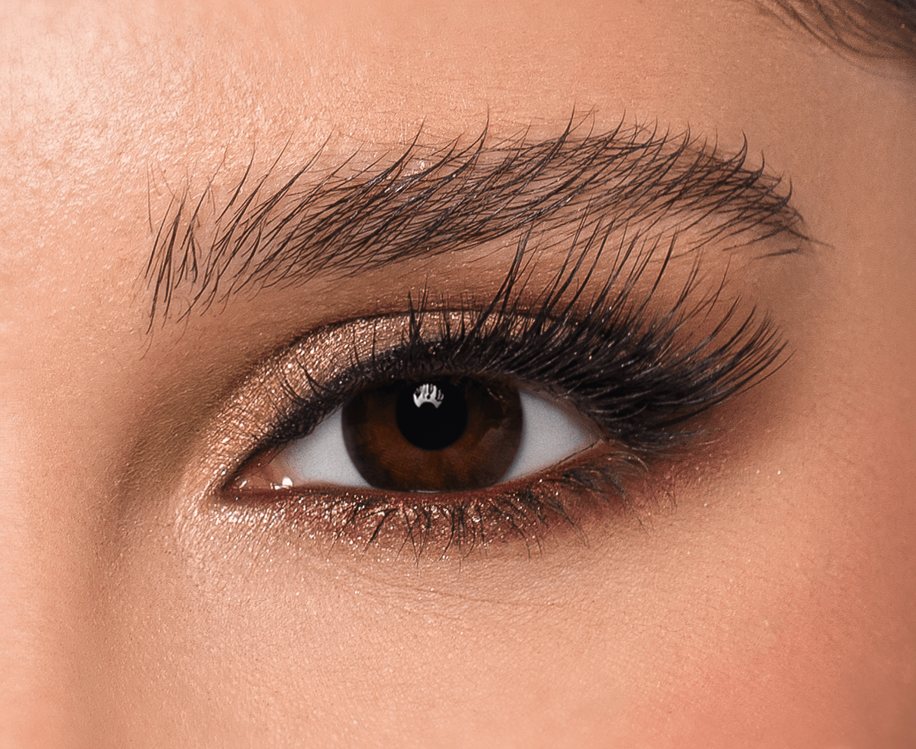 All About Onyx Eyes That You Need to Know
